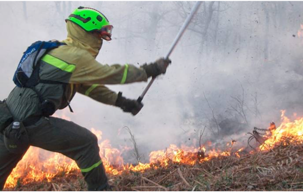 Declarat un incendi forestal a Cortes d’Arenós que obliga a activar la ...